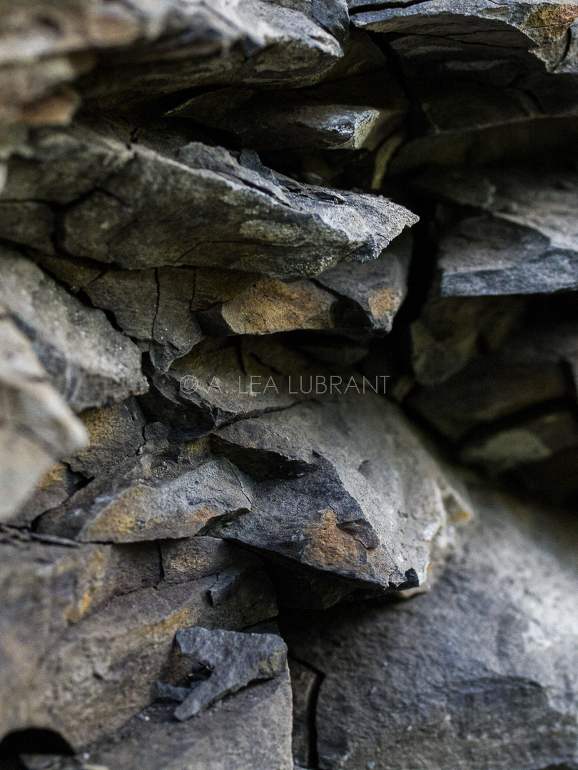 Texture – A. Lea Photography